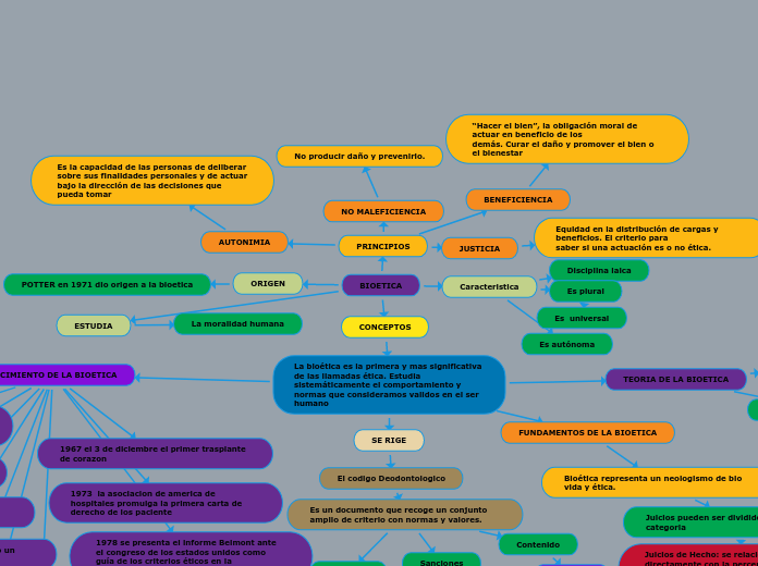 BIOETICA - Mind Map