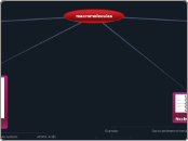 macromolecules - Mind Map
