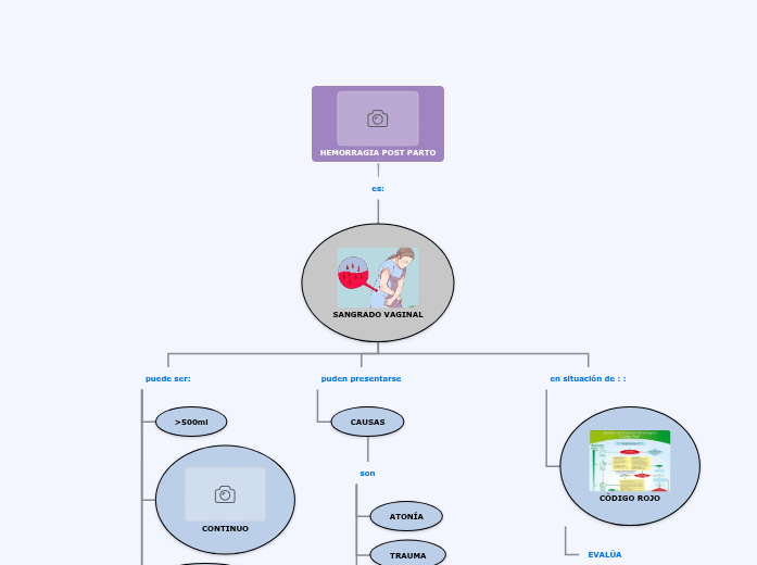HEMORRAGIA POST PARTO - Mind Map