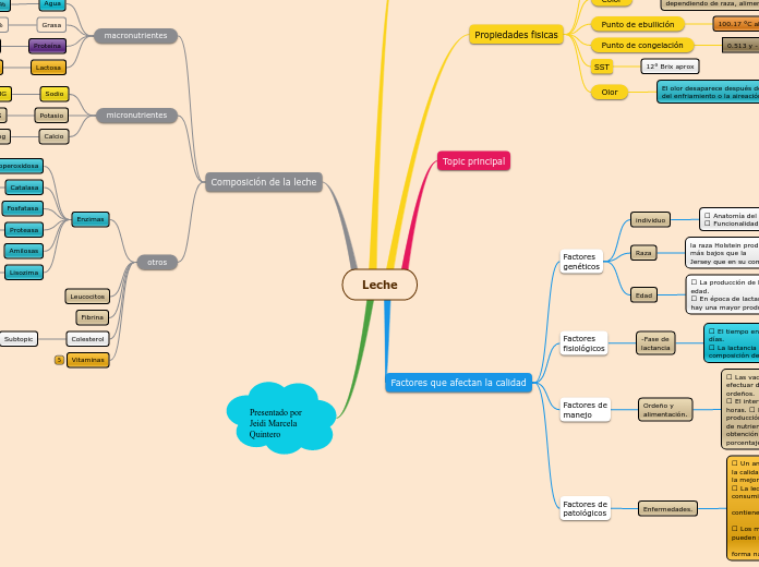 Leche jeidi - Mind Map