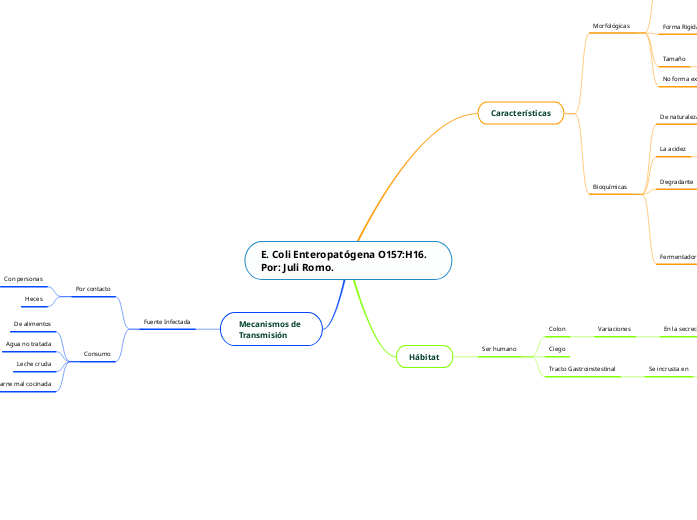 E. Coli Enteropatógena O157:H16. Por: Juli...- Mind Map