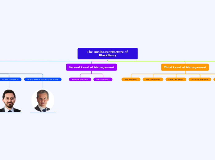 The Business Structure of BlackBerry - Mind Map