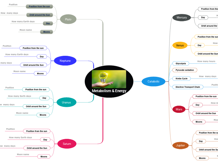 Metabolism & Energy - Mind Map