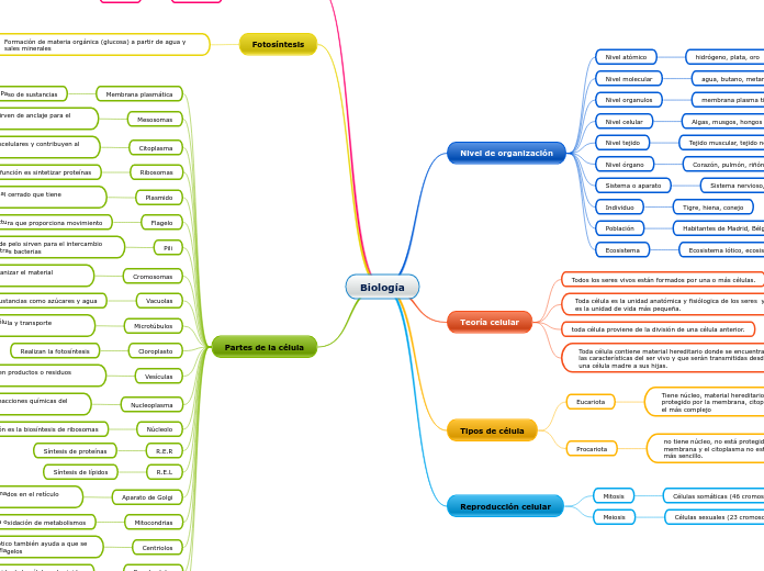 Preparing for an Interview - Mind Map