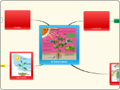 la fotosintesis - Mind Map