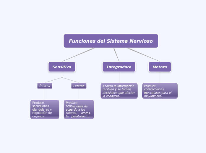 Funciones del Sistema Nervioso - Mind Map
