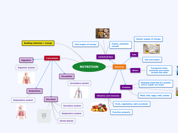 NUTRITION - Mind Map