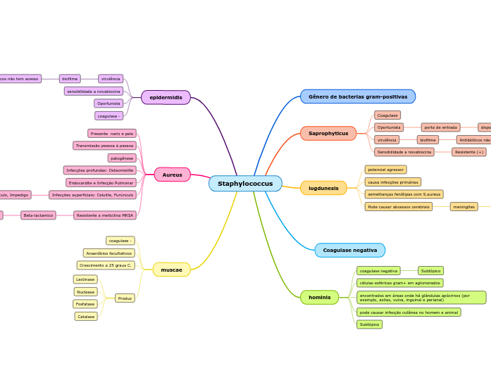 Staphylococcus Aureus Mapa Conceptual - Diary Bersama