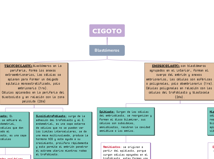 CIGOTO - Mind Map