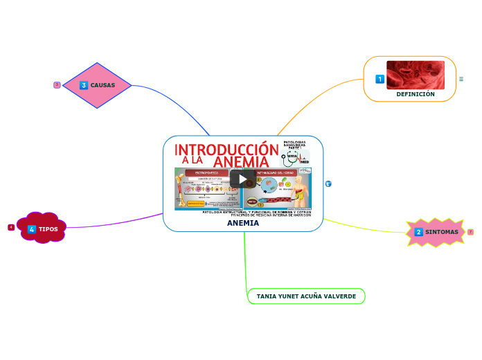 ANEMIA - Mind Map