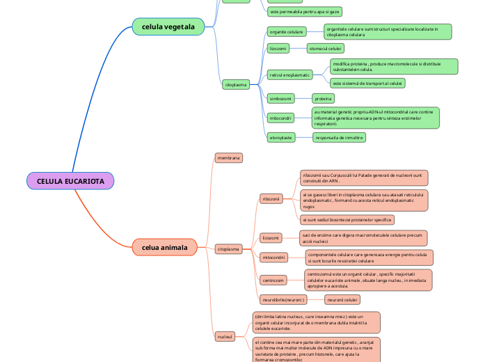 CELULA EUCARIOTA - Mind Map