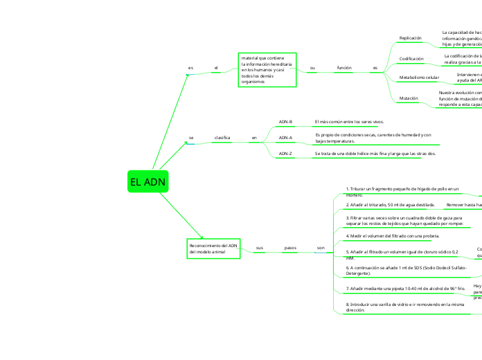 EL ADN - Mind Map