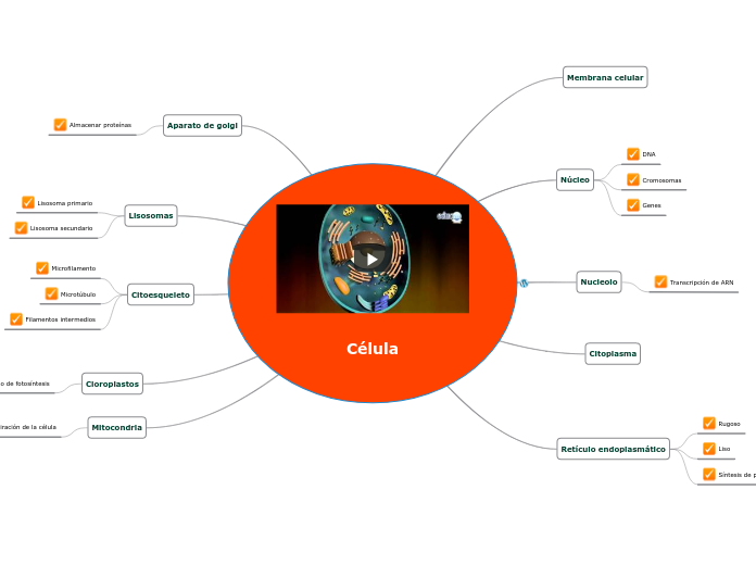 Célula - Mapa Mental - Amostra