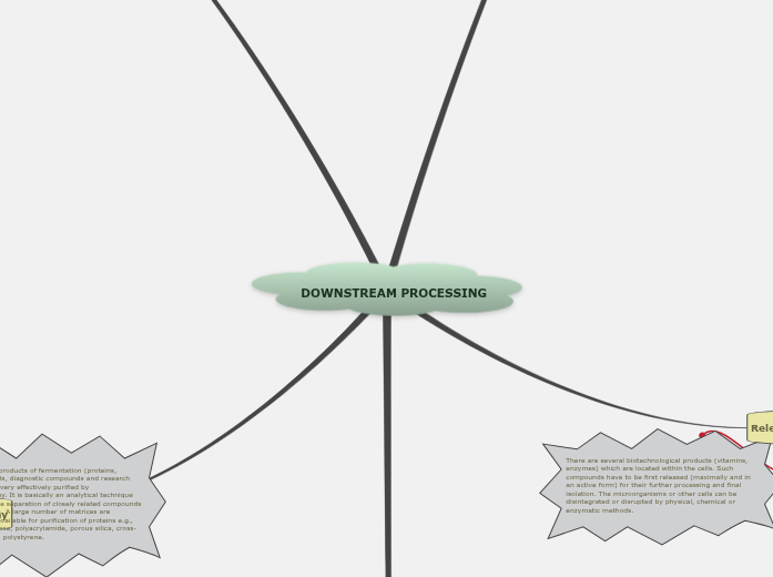DOWNSTREAM PROCESSING - Mind Map