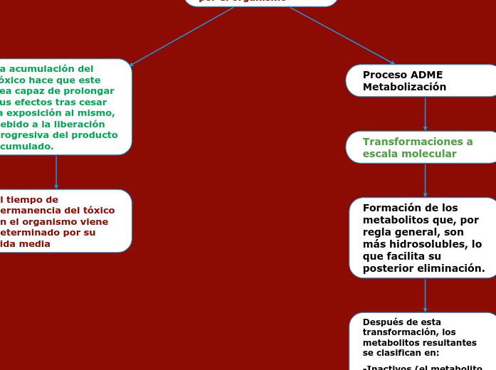 PROCESO ADME - Mind Map