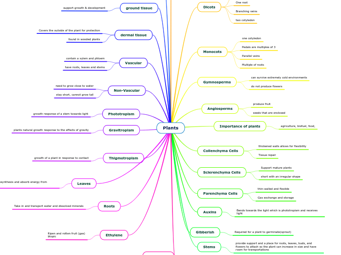 Plants - Mind Map