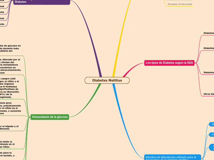 Diabetes Mellitus - Mind Map