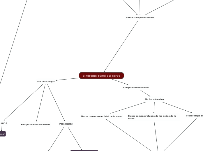 Sindrome Túnel del carpo - Mind Map