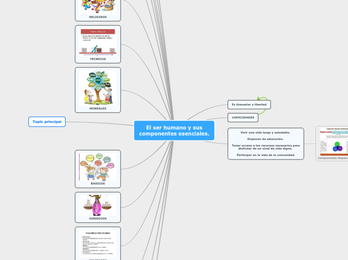 Mapa Mental El Ser Humano Y Sus Componentes Esenciales Valores Normas