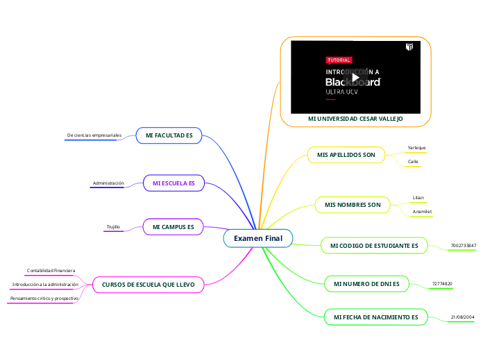 Examen Final - Mind Map