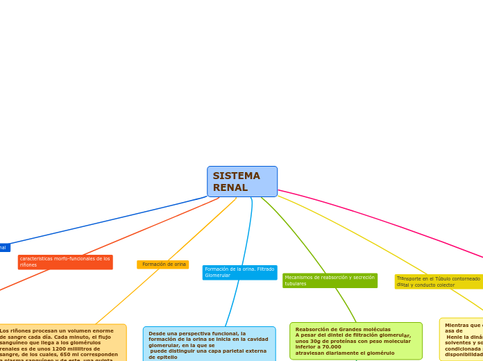 SISTEMA RENAL - Mind Map