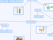 Macromolecules - Concept Map