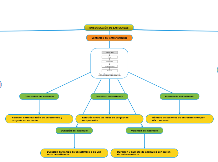 DOSIFICACIÓN DE LAS CARGAS - Mind Map