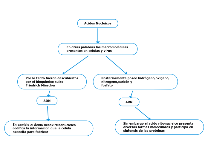Acidos Nucleicos - Mind Map