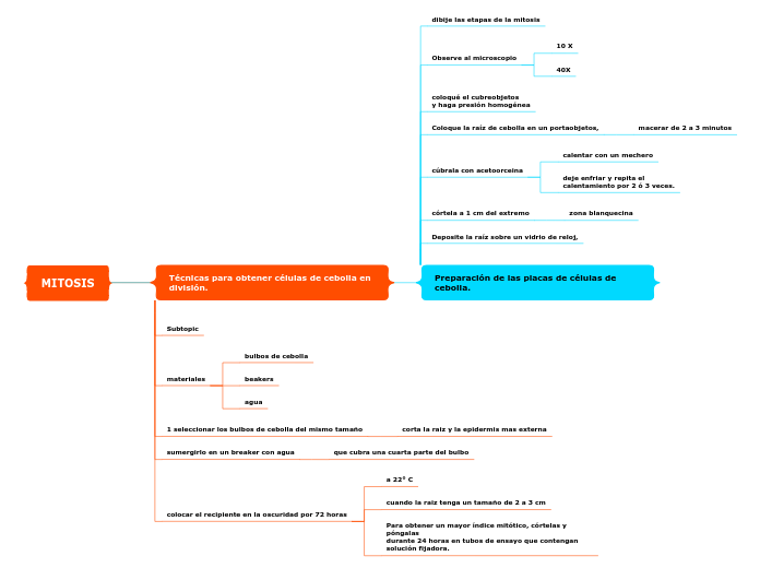 MITOSIS - Mind Map