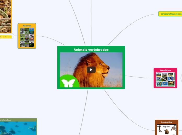 Os animais vertebrados - Mind Map