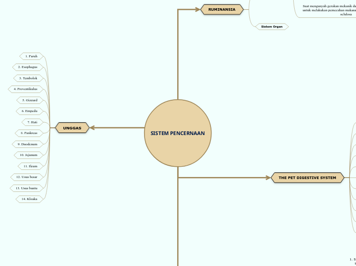 SISTEM PENCERNAAN - Mind Map