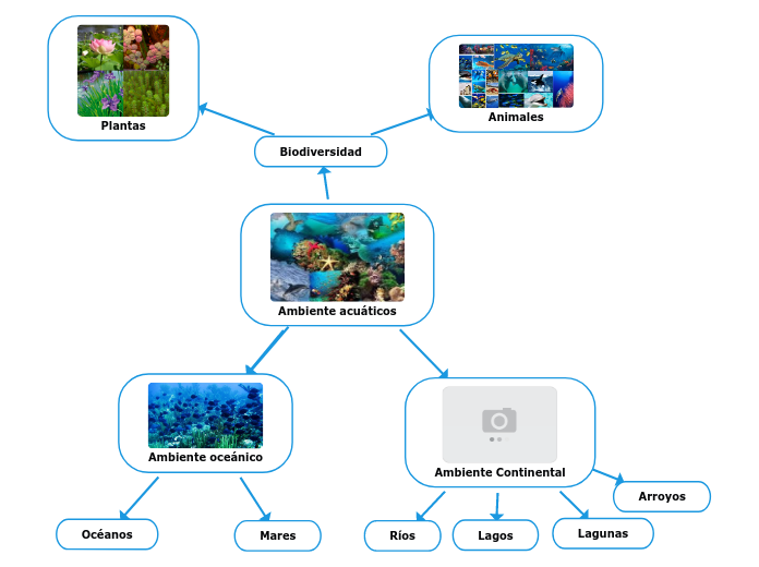 Ambiente acuáticos - Mind Map