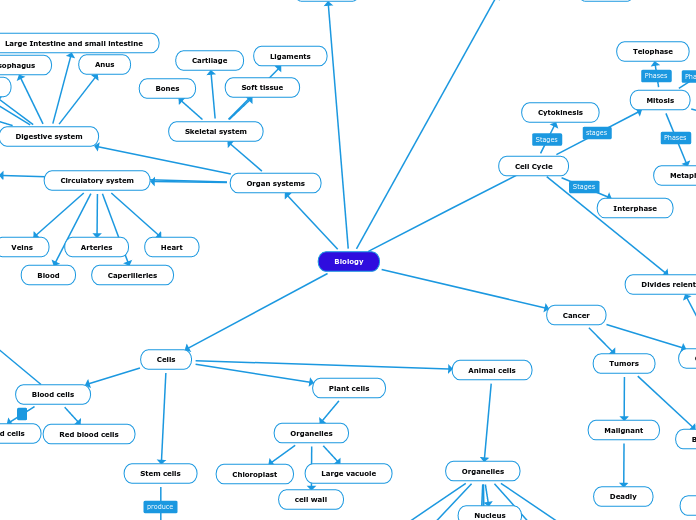 Biology - Mind Map