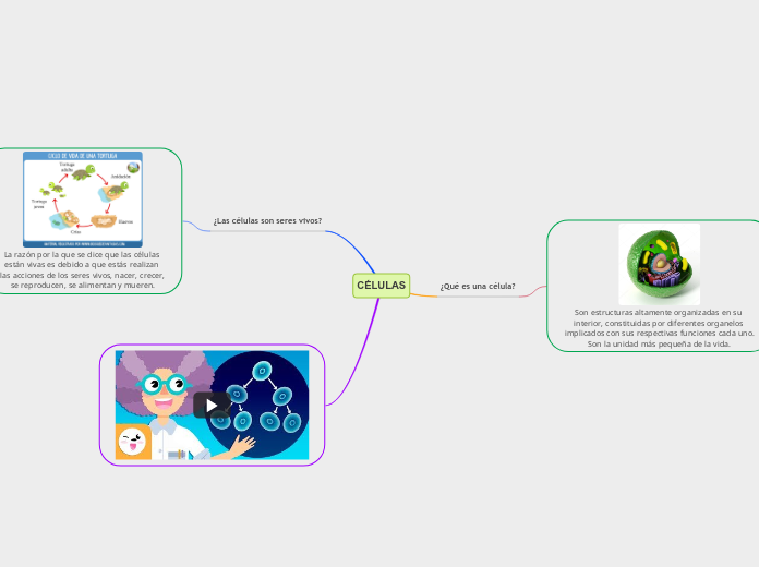 CÉLULAS - Mind Map