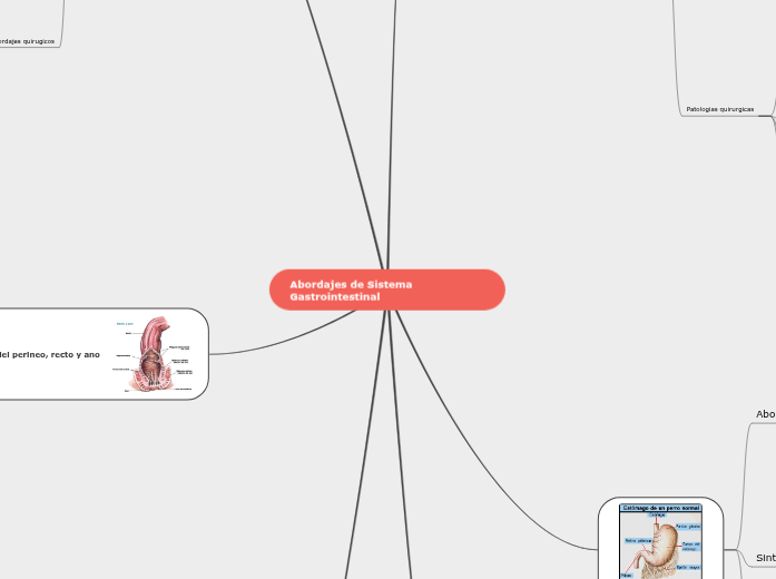 Abordajes de Sistema Gastrointestinal - Mind Map