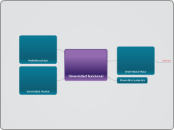 Diversidad funcional - Mind Map