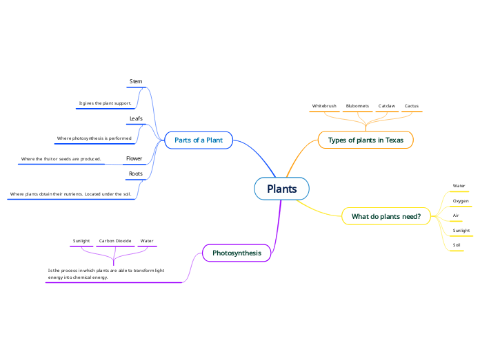 Plants - Mind Map