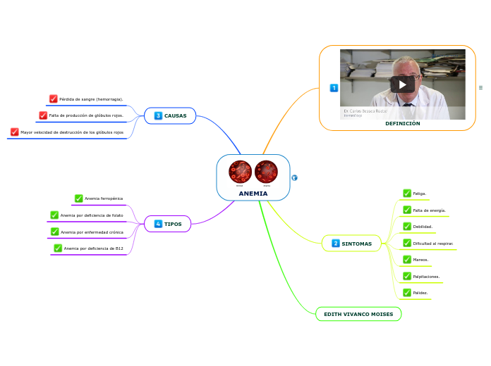 ANEMIA - Mind Map