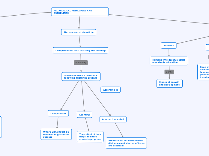 PEDAGOGICAL PRINCIPLES AND GUIDELINES - Mind Map