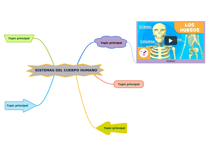 SISTEMAS DEL CUERPO HUMANO - Mind Map