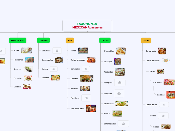 TAXONOMIA MEXICANA - Mind Map