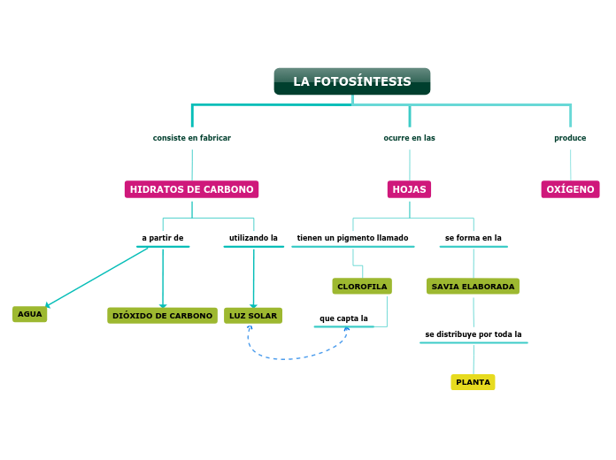LA FOTOSÍNTESIS - Mind Map