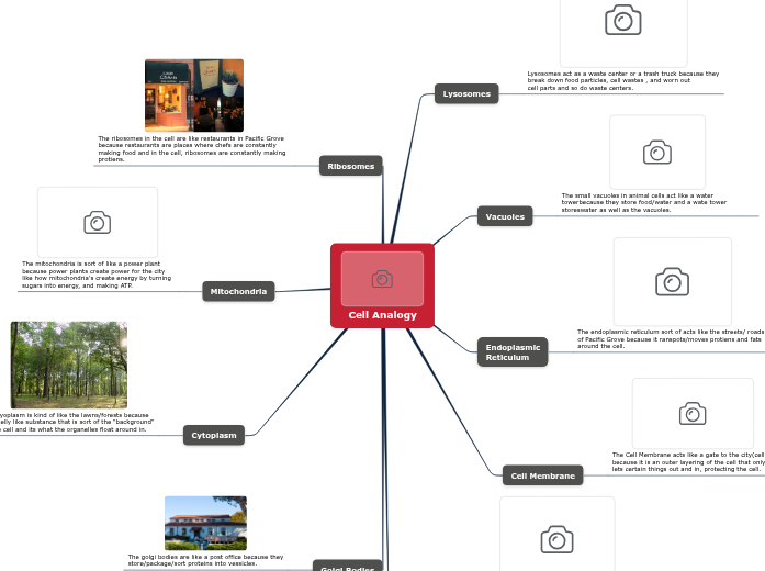 Cell analogy - Mind Map