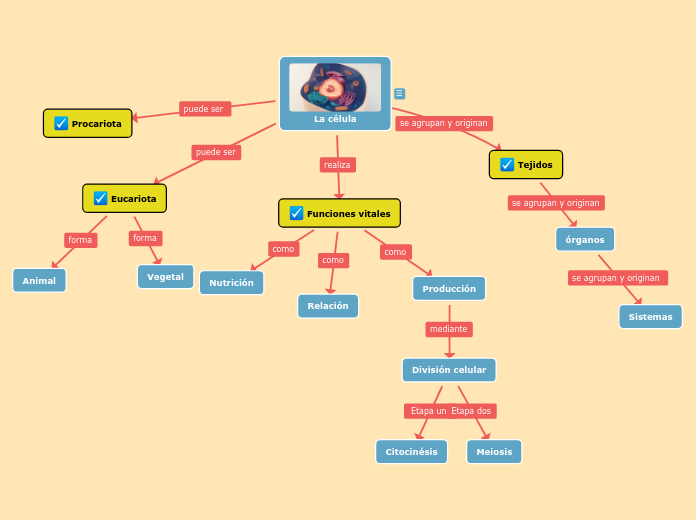 La célula - Mind Map