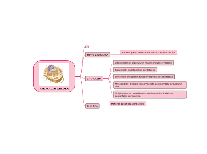 ANIMALIA ZELULA - Mind Map