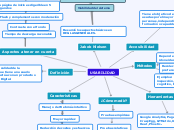 USABILIDAD - Concept Map