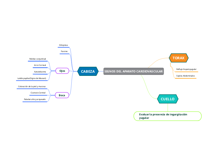 SIGNOS DEL APARATO CARDIOVASCULAR - Mind Map