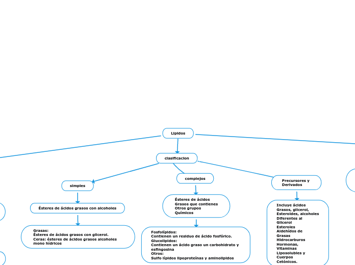 Lipidos - Mind Map