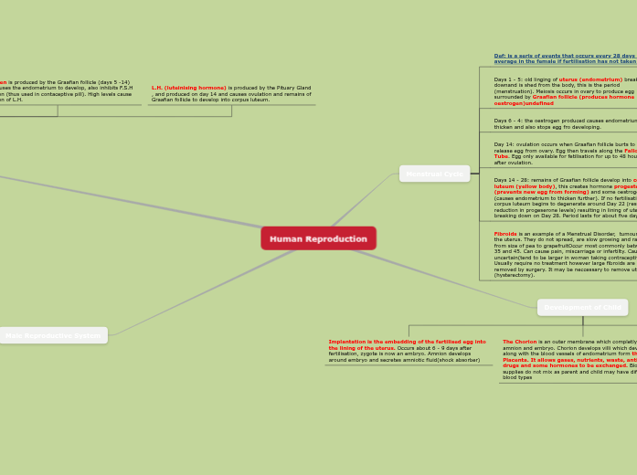 Human Reproduction - Mind Map