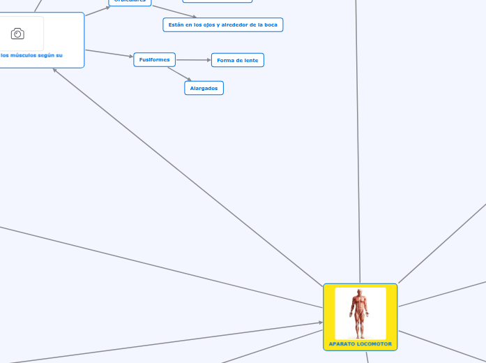 APARATO LOCOMOTOR - Mind Map